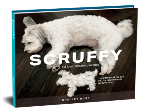 Scruffy by Shelley Ross